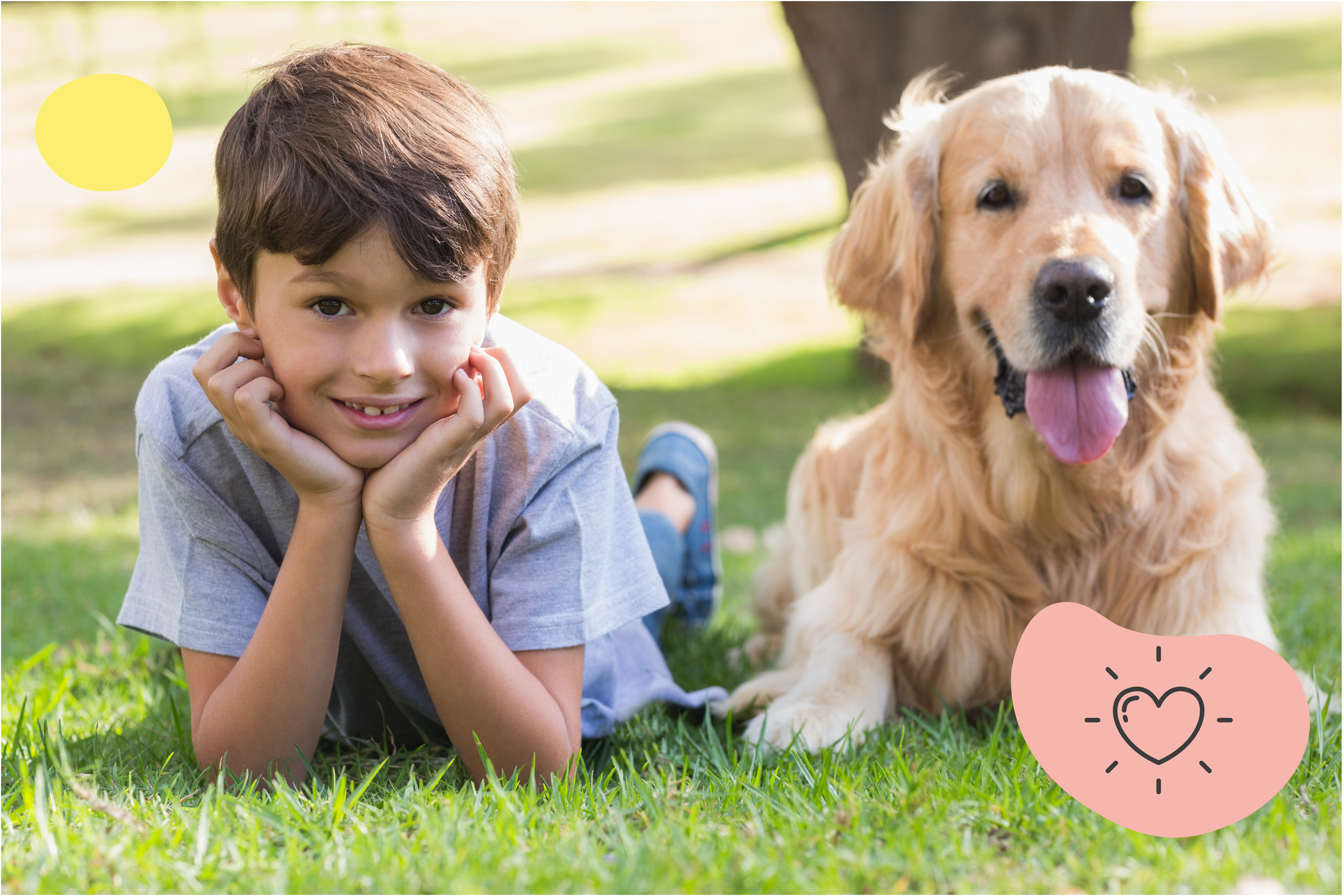 Choisir le Chien Idéal pour Votre Famille : Guide Complet – Marly & Dan